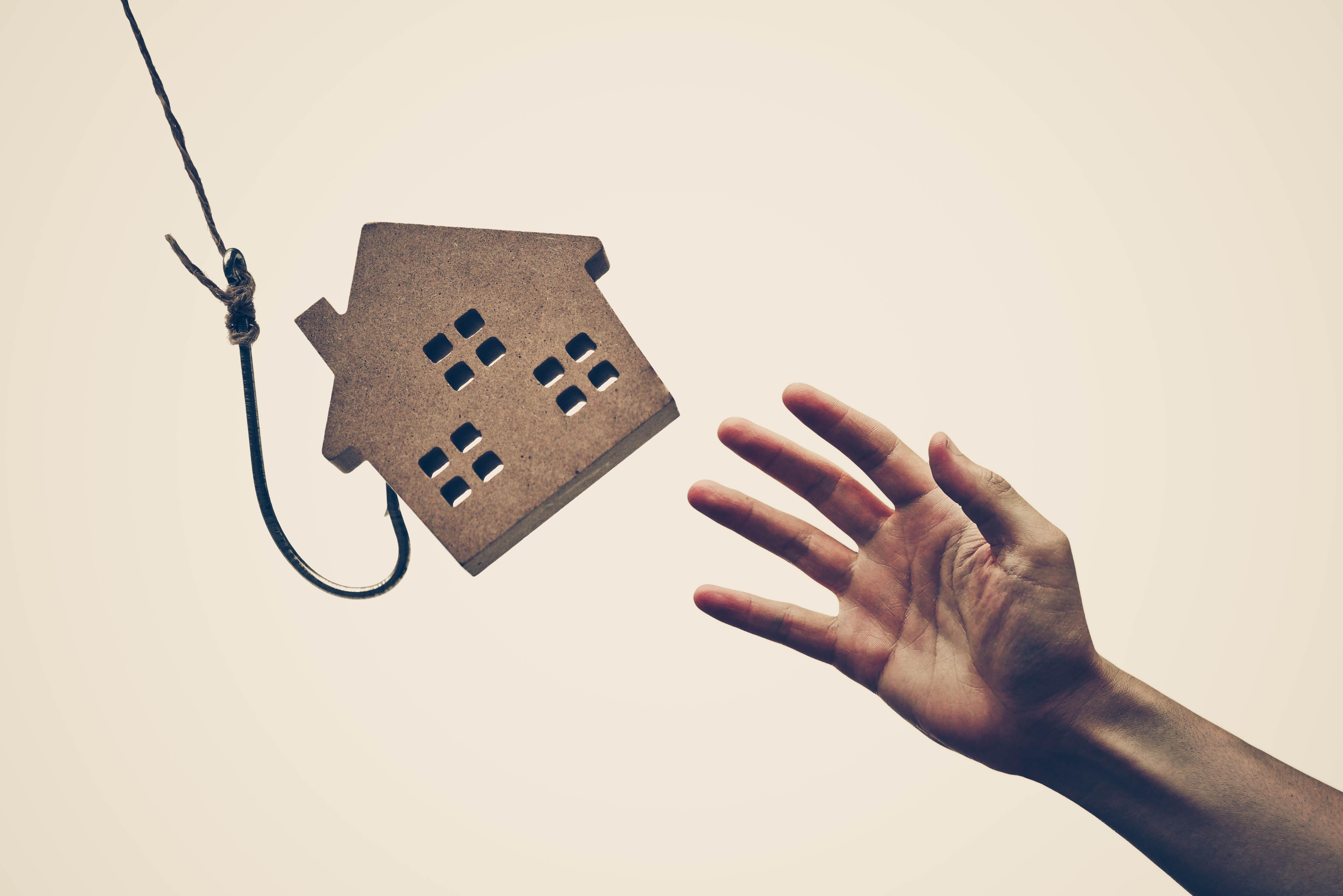 Que es un despojo de carne cruzgomez.es